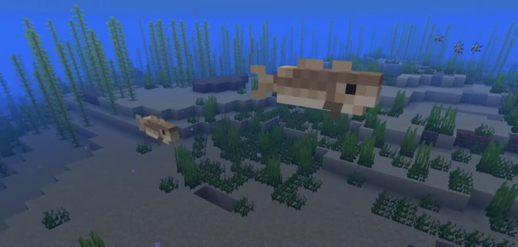 What Does Salmon Eat in Minecraft? – Overview