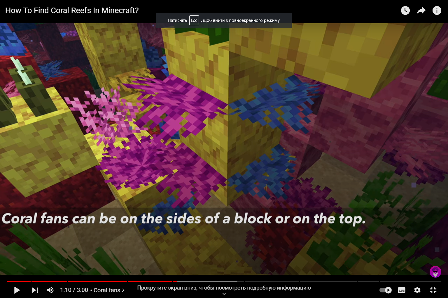 How To Find Coral Reef In Minecraft: A Step-By-Step Guide